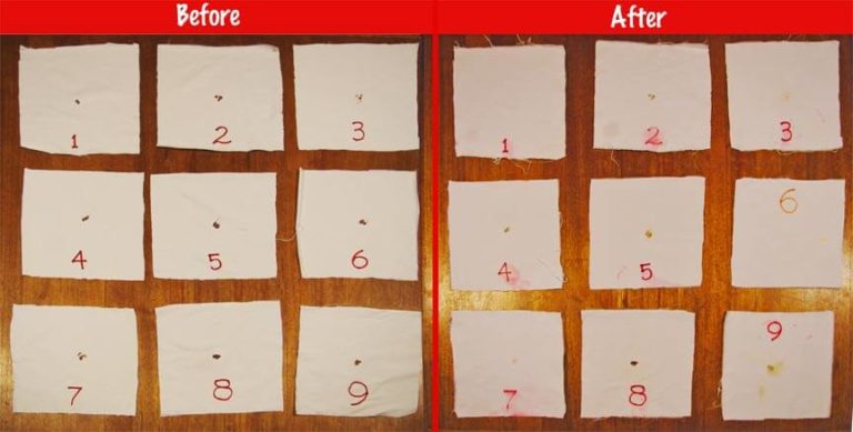 How to Get Dried Blood Out of Sheets: 11 Ways to Remove Stains