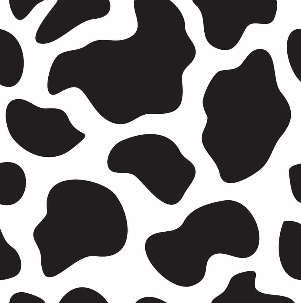 Cow Spot Printable Printable Word Searches